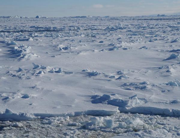Polar Report Card | Marine Climate Change Impacts Partnership