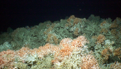 Ocean Acidification | Marine Climate Change Impacts Partnership